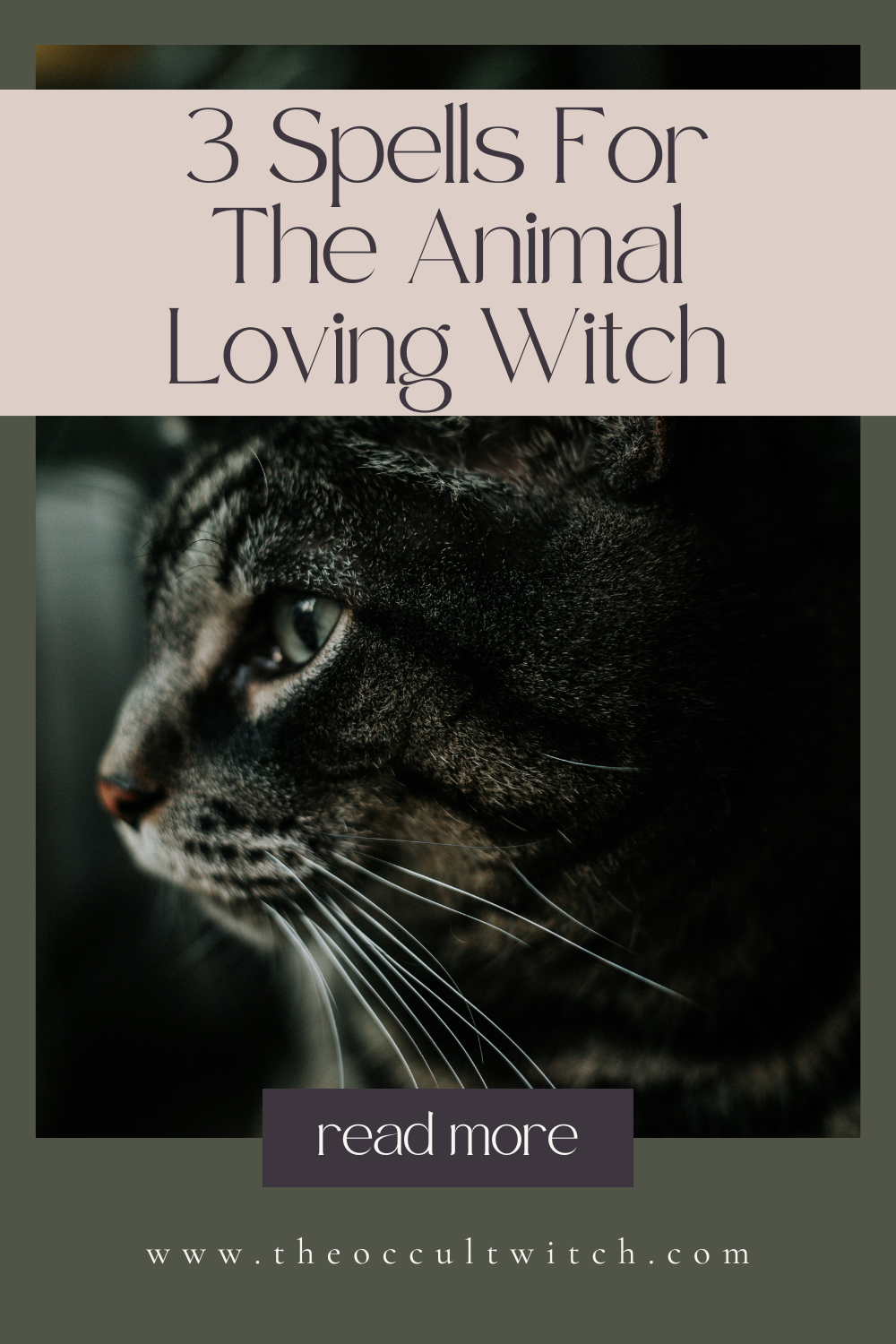 3 Quick And Easy Spells For The Animal Loving Witch - The Occult Witch
