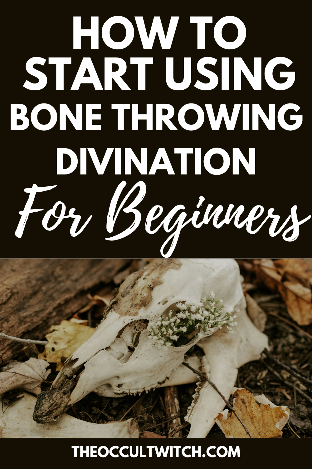 How To Make And Use A Bone Throwing Divination Set - The Occult Witch