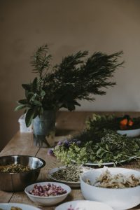 The Complete Beginners Guide To Herbs For Witchcraft - The Occult Witch